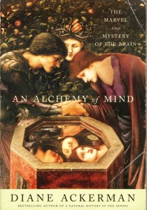 An Alchemy of Mind – John's Consciousness